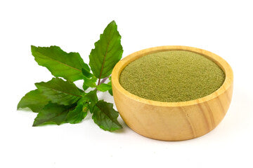 BASIL POWDER – Urchidamas Resources