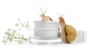SNAIL FLUID(SLIME) – Urchidamas Resources
